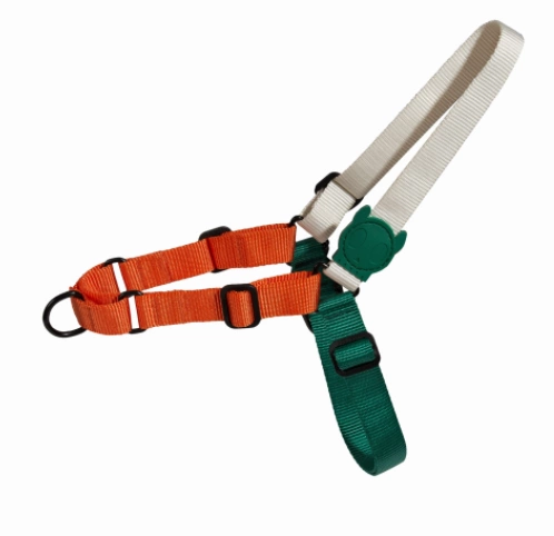 Valjad, rihmad, kaelarihmad | Veebipood ZooKaralyste.ee